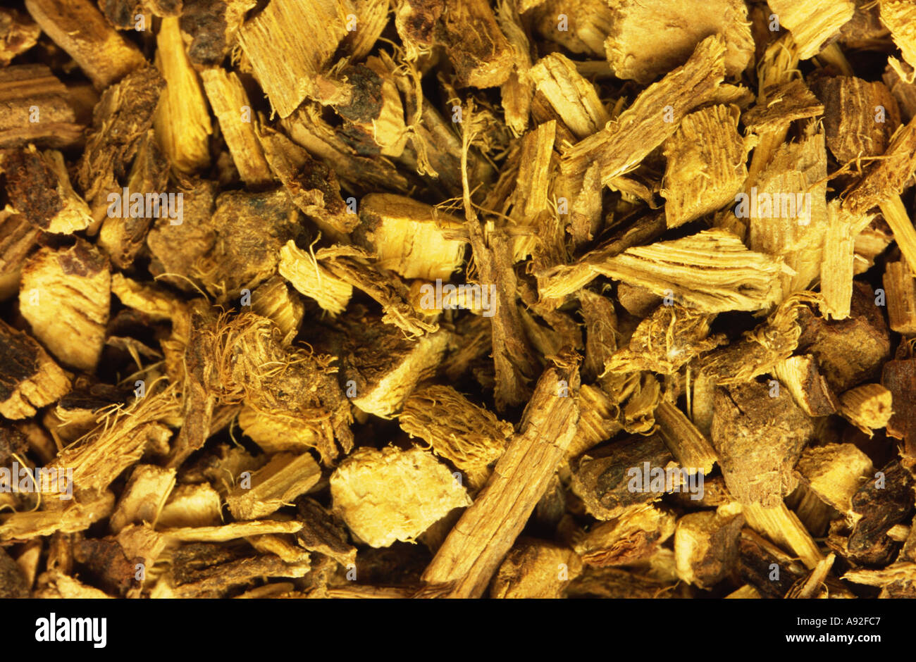 Medicinal plant Süßholz Lakritzwurzel Glycyrrhiza glabra Liquorice root ...