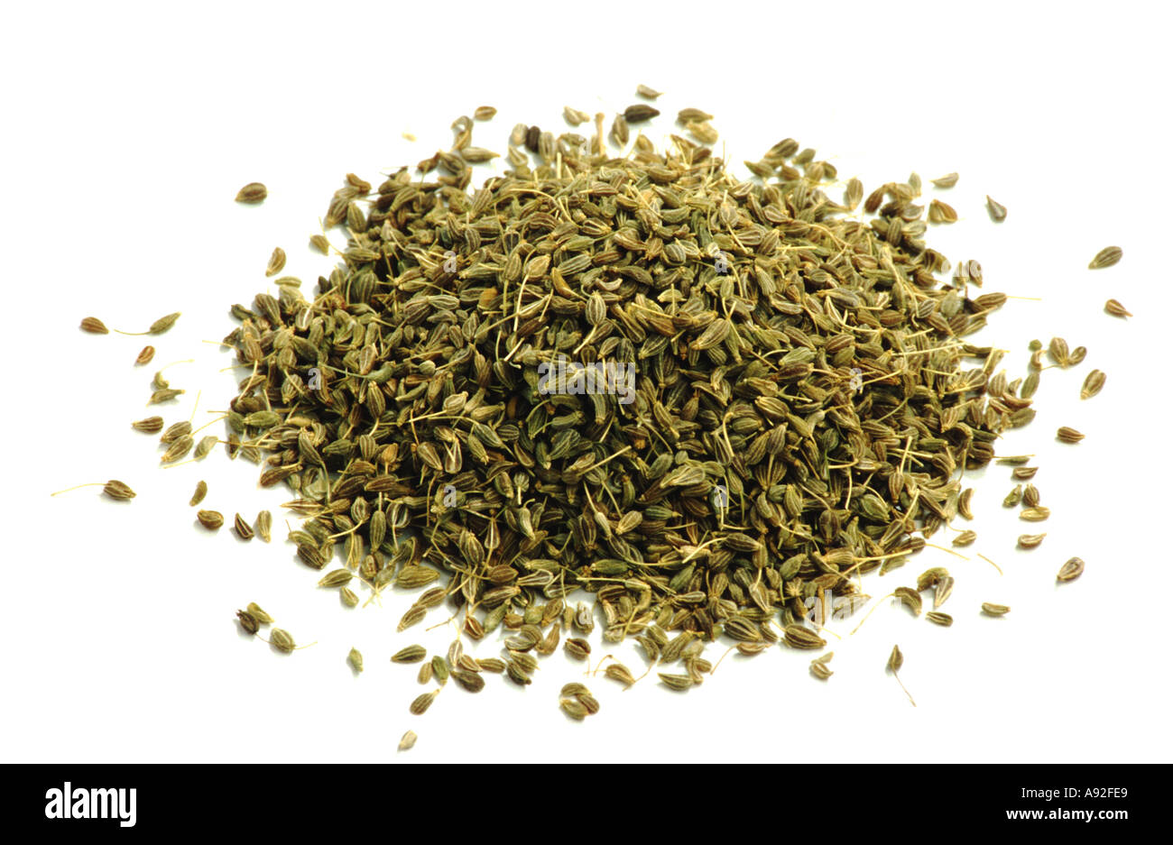 edicinal plant spice Anise Aniseseed Pimpinella anisum Anis Stock Photo ...