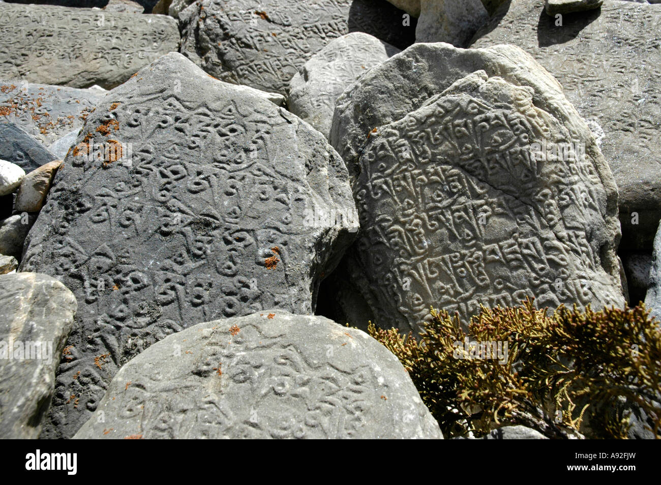 Old script writing hi-res stock photography and images - Alamy