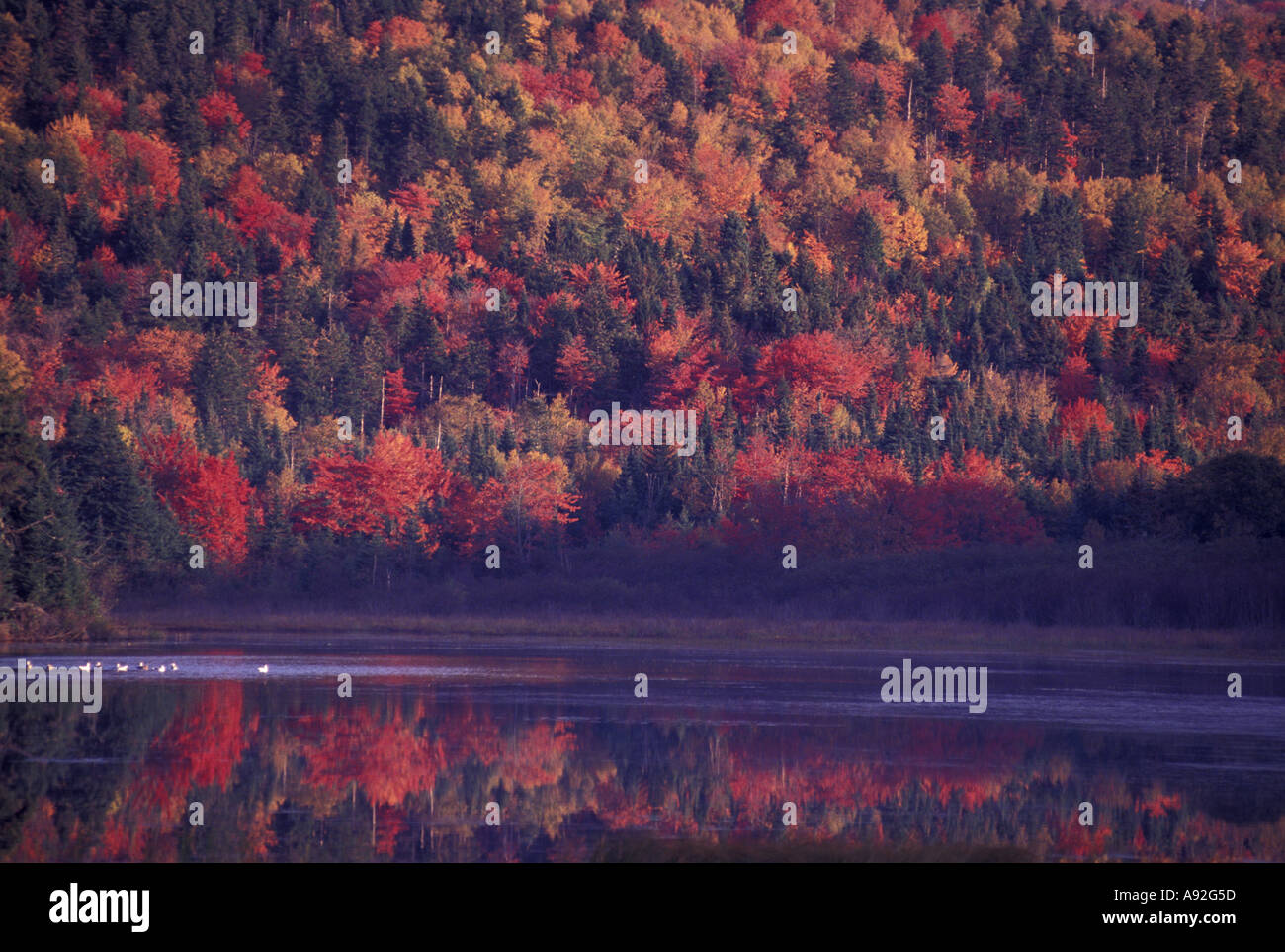Canada beach cycle hi-res stock photography and images - Alamy