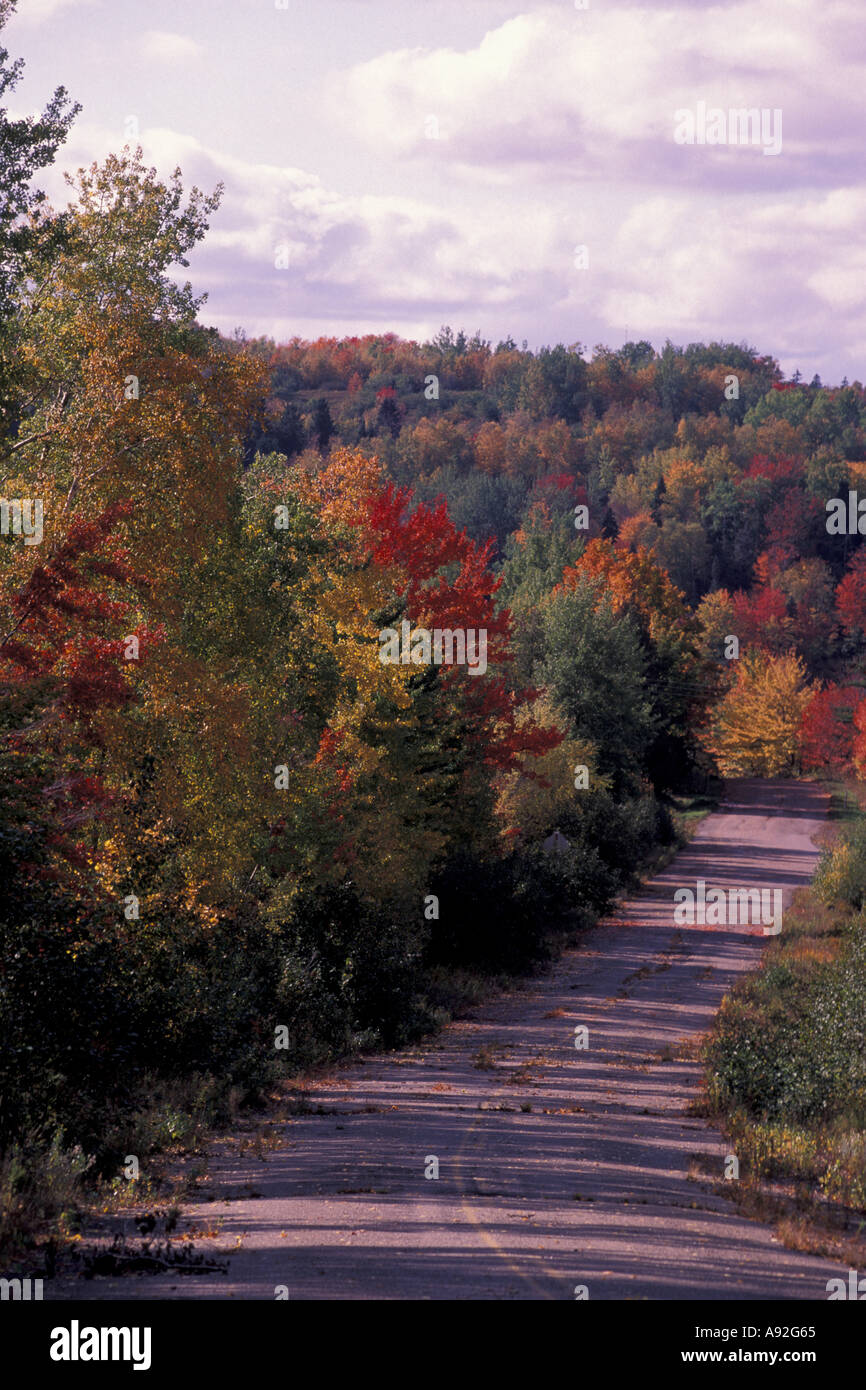 Canada fall colors hi-res stock photography and images - Alamy