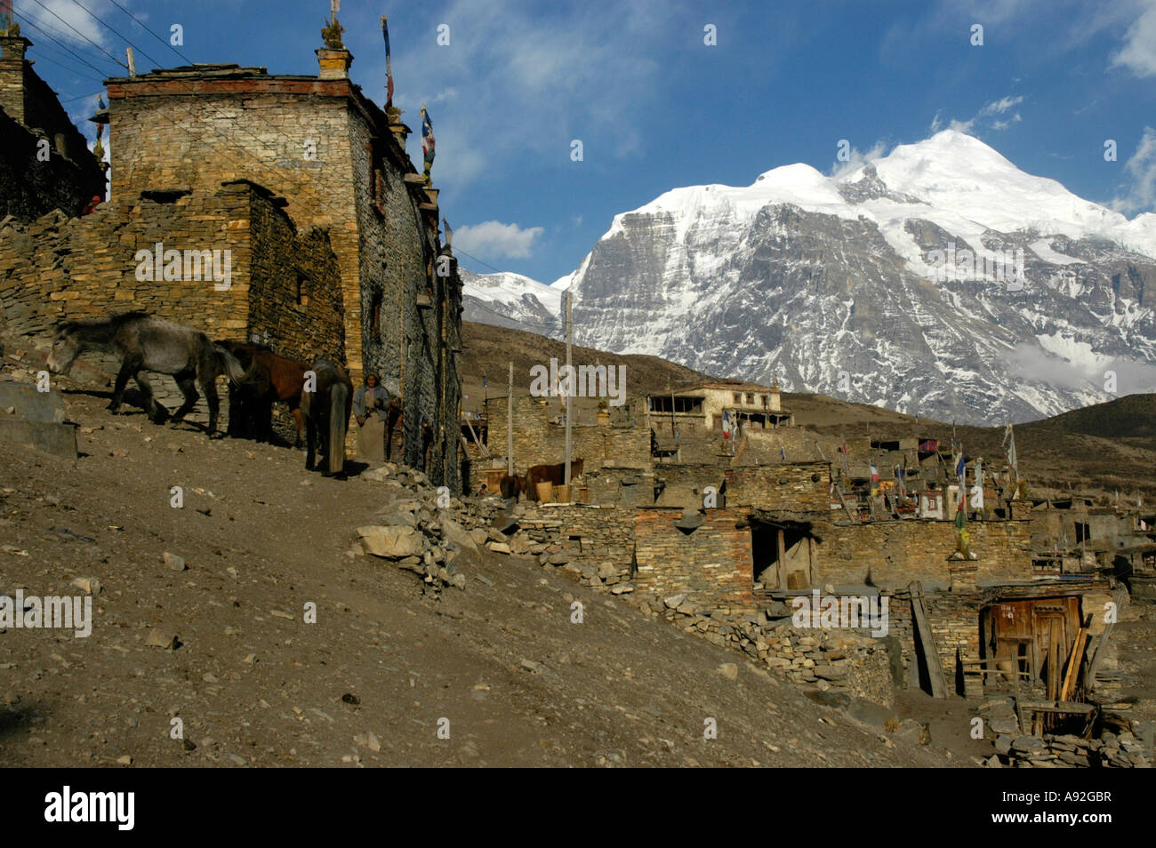 Nested Houses made of stones with flat roofs with mountain Kang Guru in ...