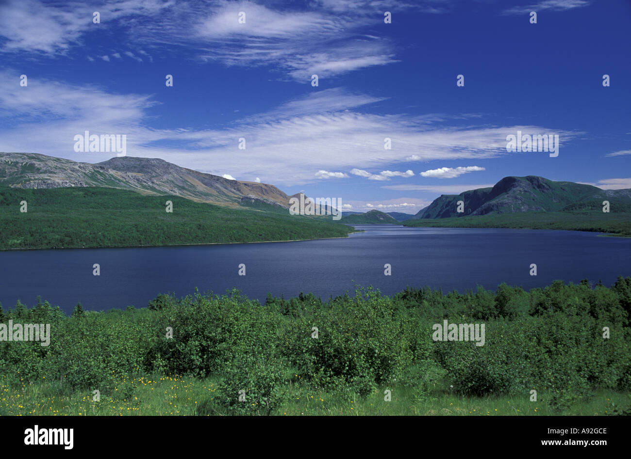 Grose River High Resolution Stock Photography and Images - Alamy