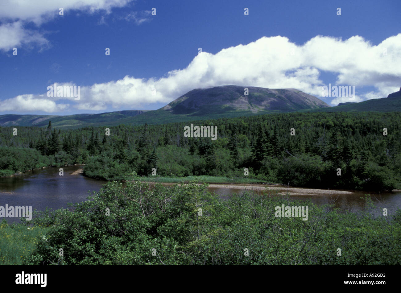 Great northern peninsula, canada hi-res stock photography and images ...
