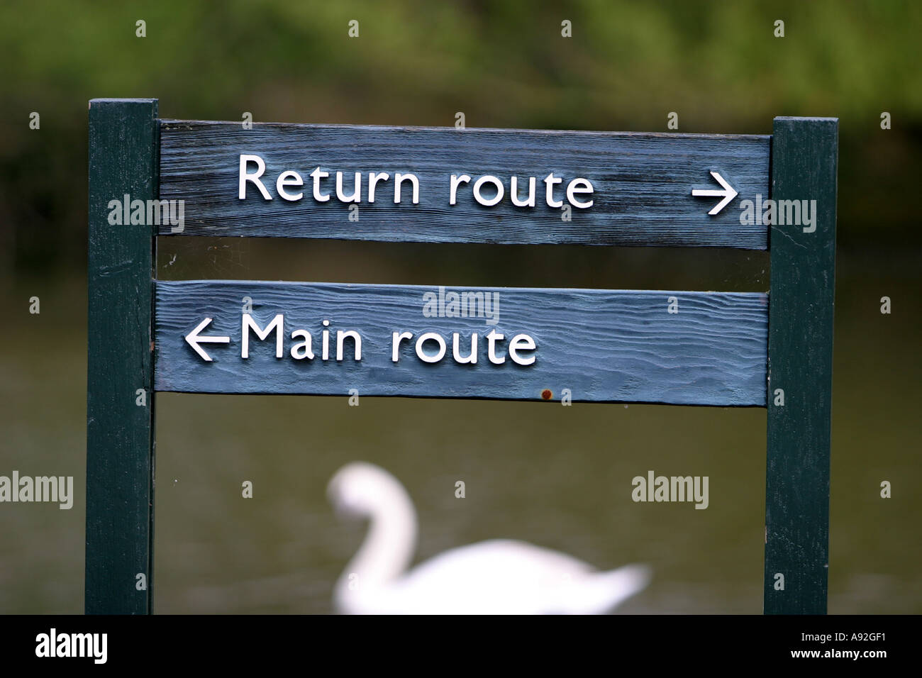 Direction sign and swan in background Stock Photo - Alamy