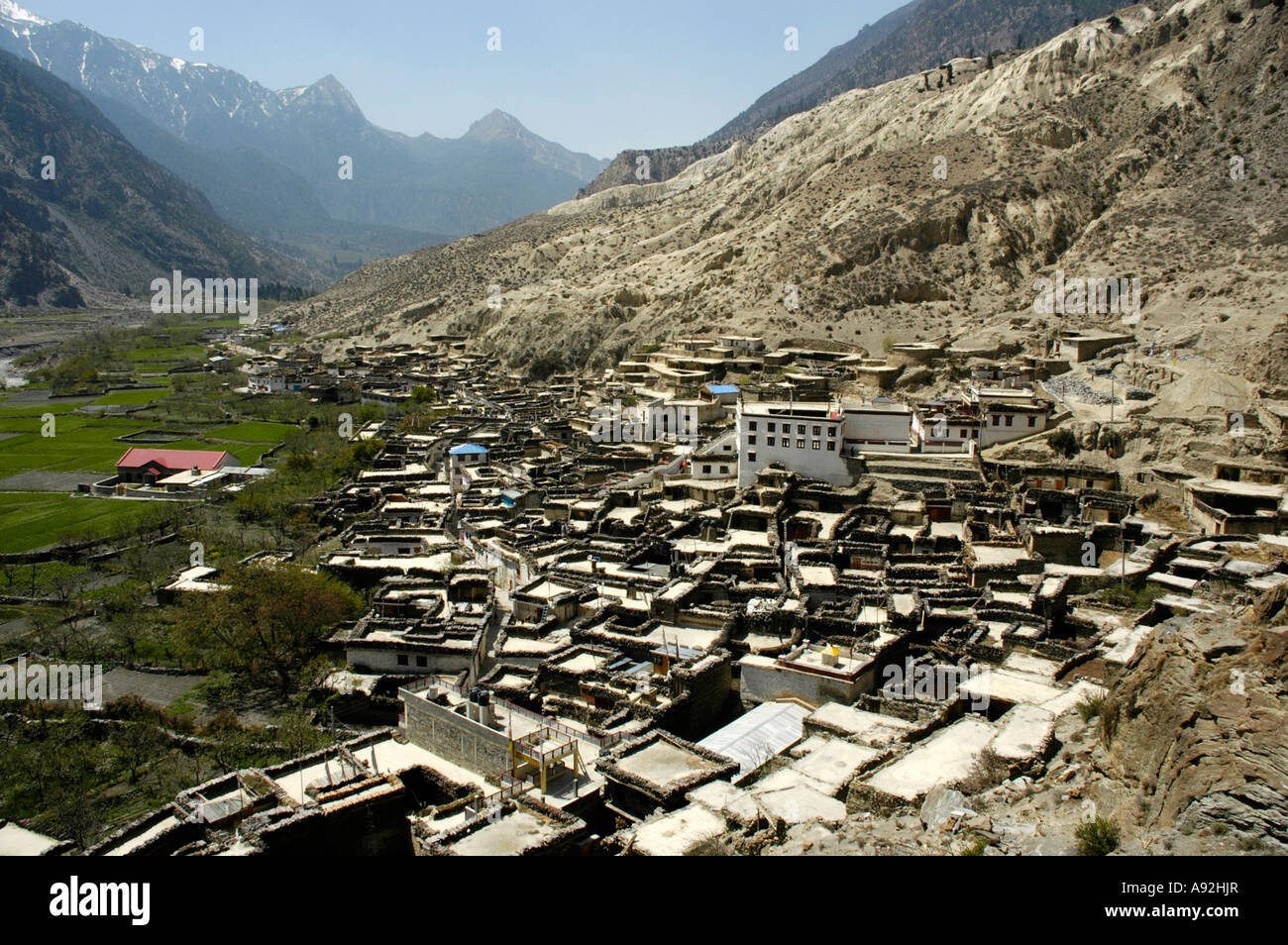 View of the flat-roofed houses and monastery Solmi Gompa of Marpha ...