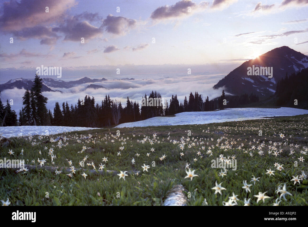 Appleton all hi-res stock photography and images - Alamy