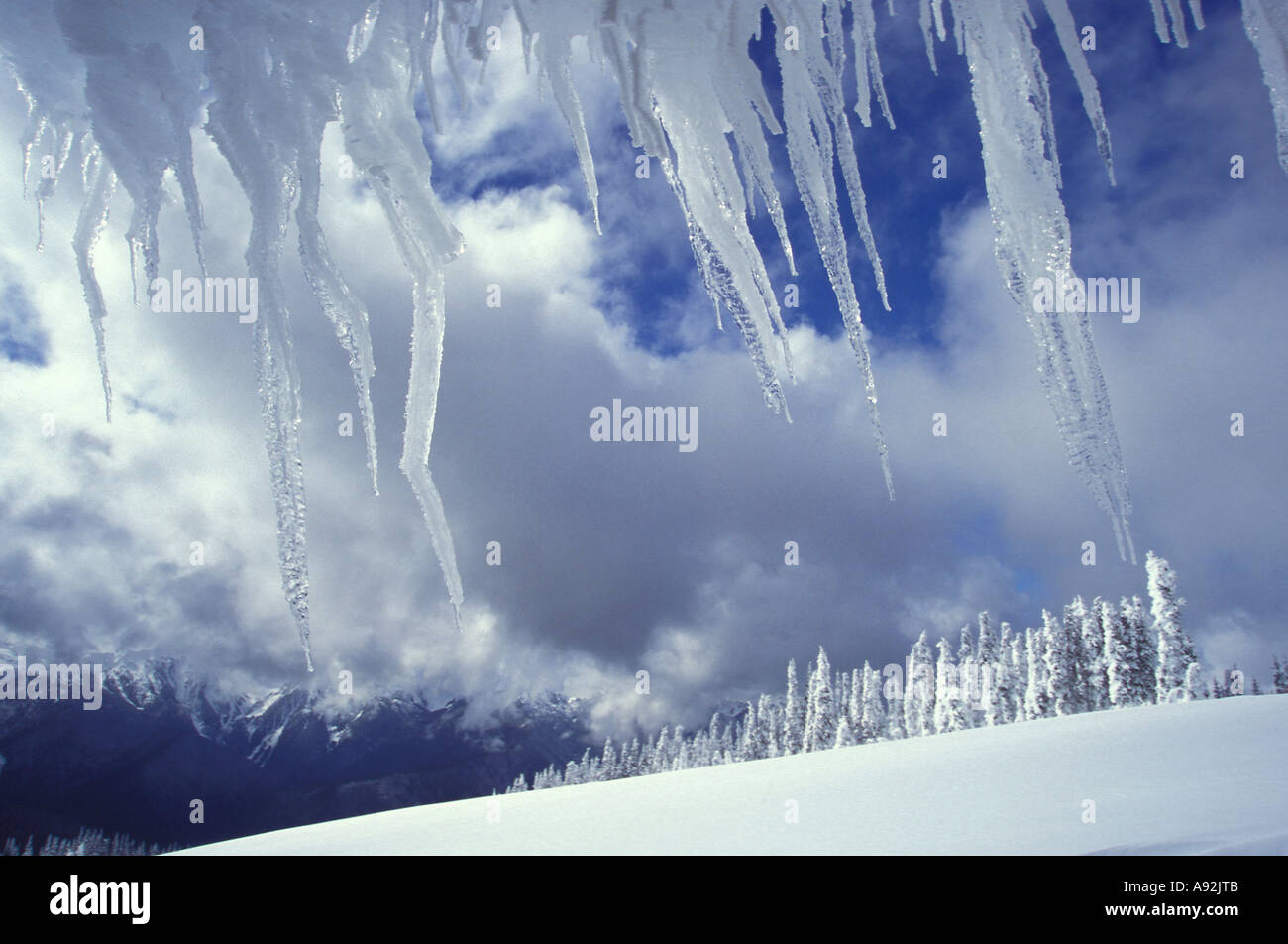 Hurricane ridge washington hi-res stock photography and images - Alamy
