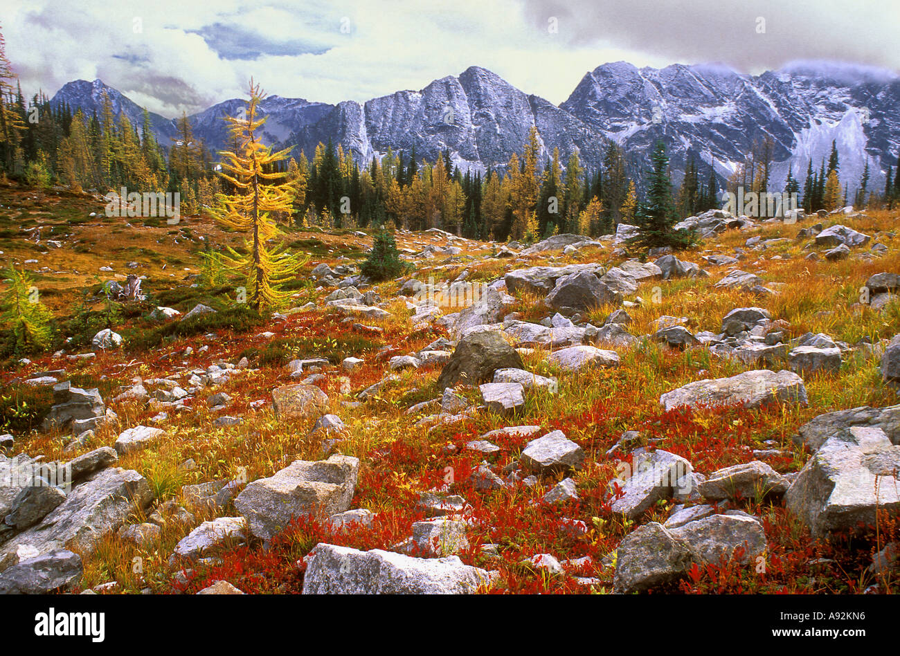 Twisp Pass North Cascades National Park Washington USA Stock Photo - Alamy