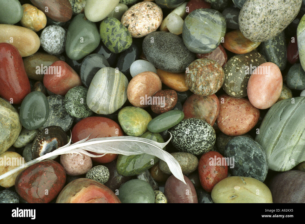 Polishing pebbles hi-res stock photography and images - Alamy