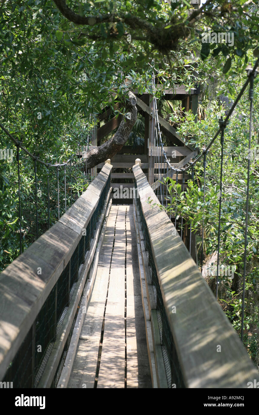 Myakka river state park canopy walk hi-res stock photography and images ...