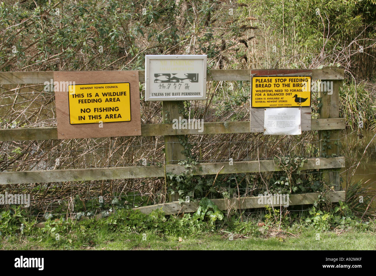 Newent bird of hi-res stock photography and images - Alamy