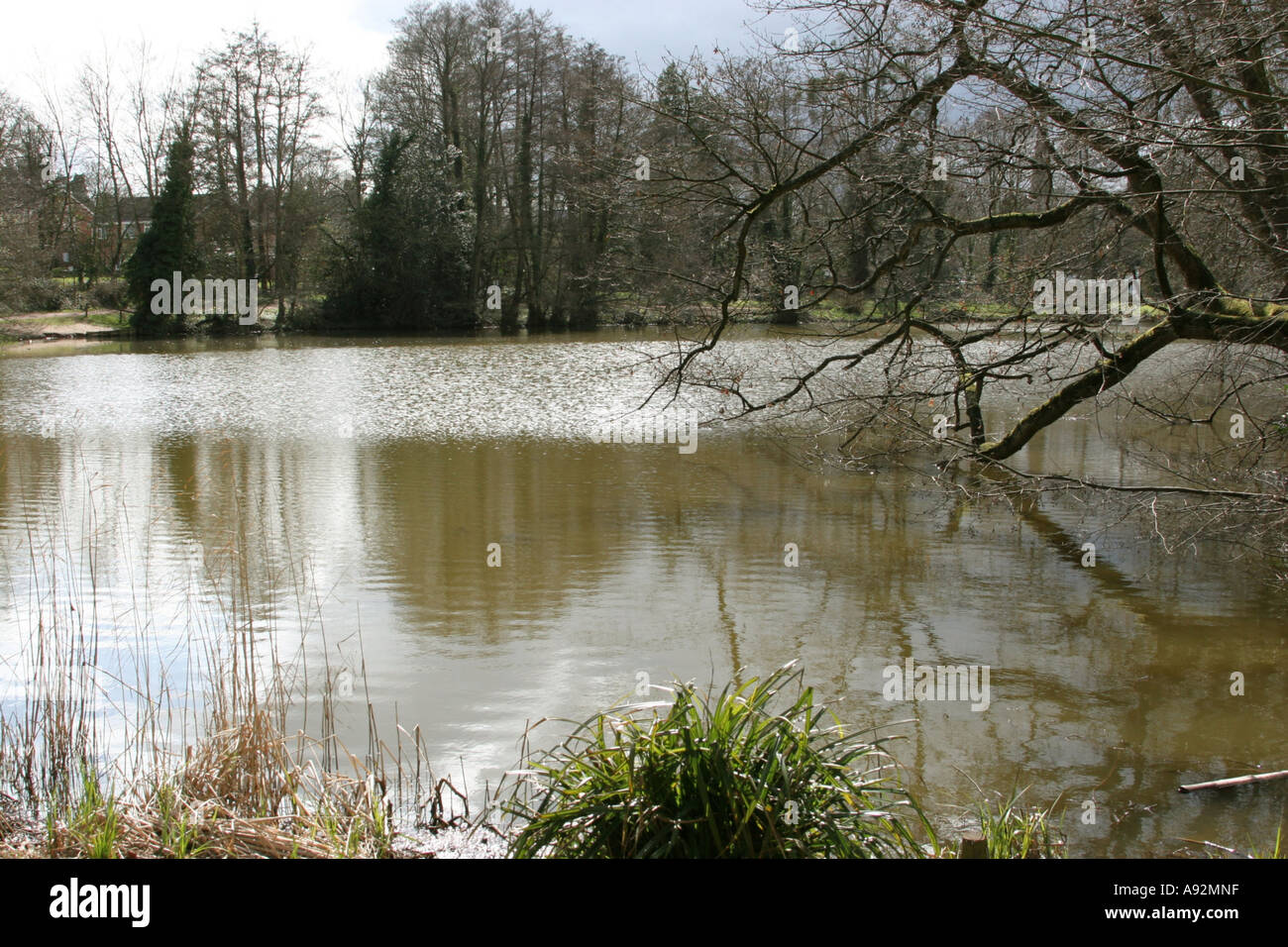 Gloucestershire uk landscape newent hi-res stock photography and images ...