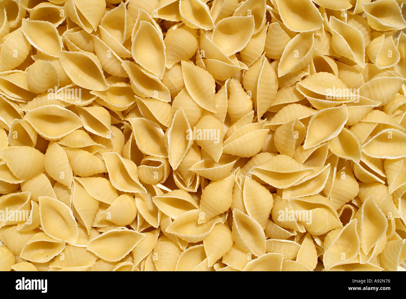 Pasta shells close up hi-res stock photography and images - Alamy