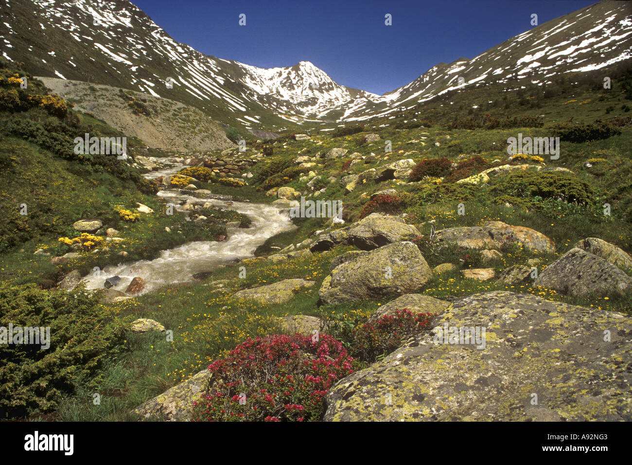 Mediterranean pyrenees hi-res stock photography and images - Alamy