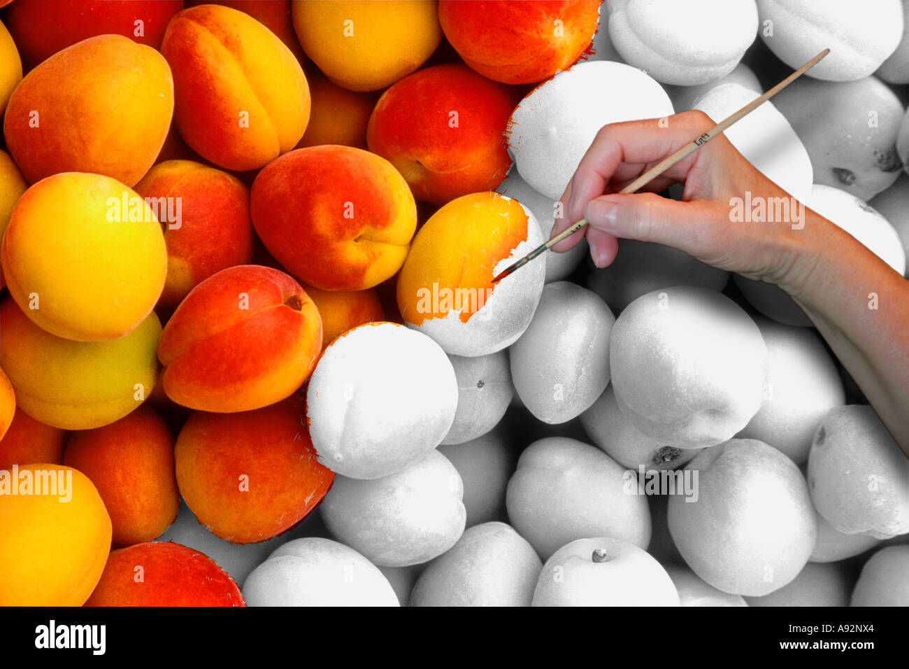 Hand coloring hi-res stock photography and images - Alamy