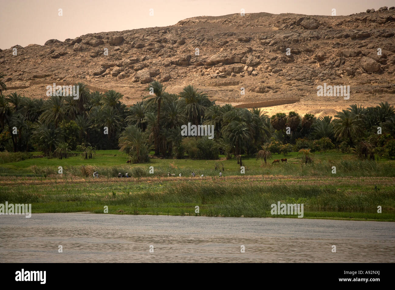 Nile River Valley Egypt Stock Photo - Alamy