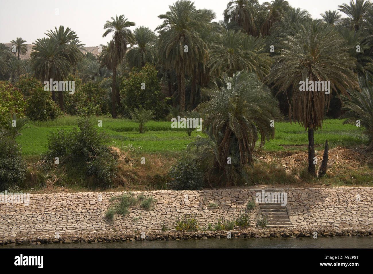 Nile River Valley Egypt Stock Photo - Alamy