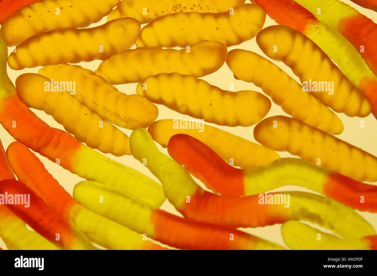 abstract arrangement of red and yellow jelly worm sweets lit from below ...