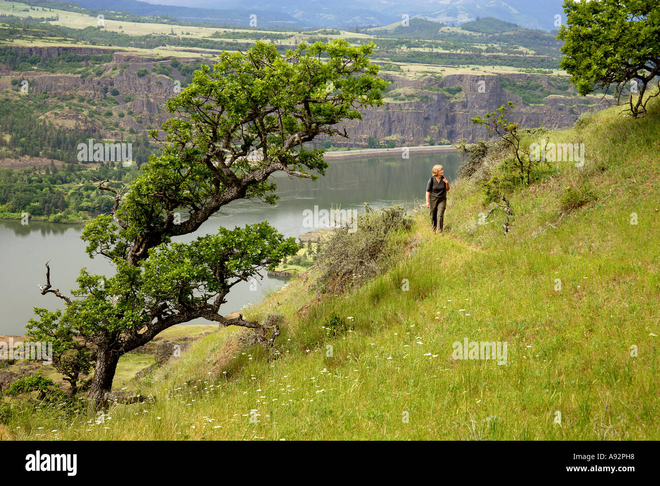 Riverside washington state hi-res stock photography and images - Alamy