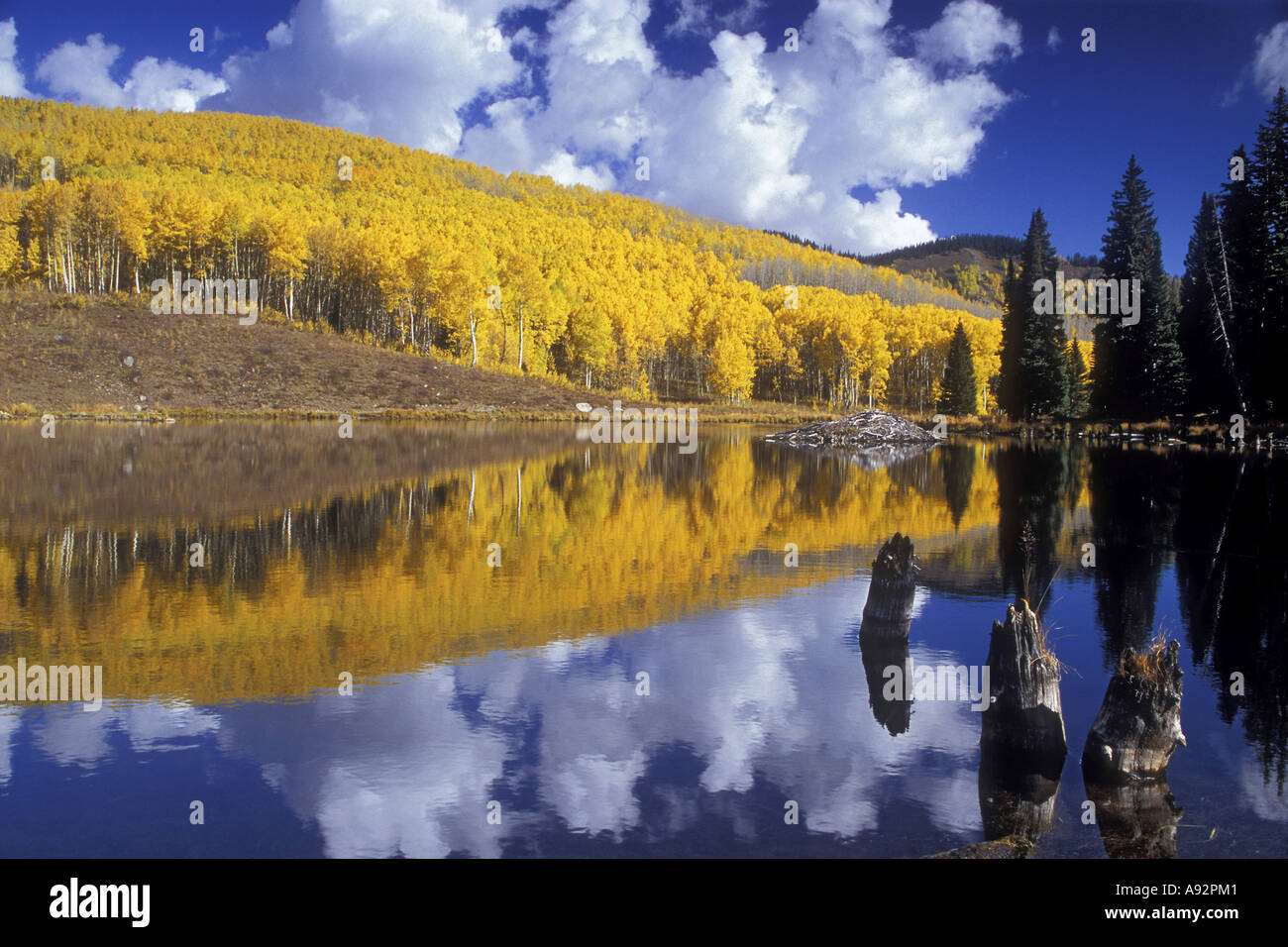 Beaver hill hi-res stock photography and images - Alamy