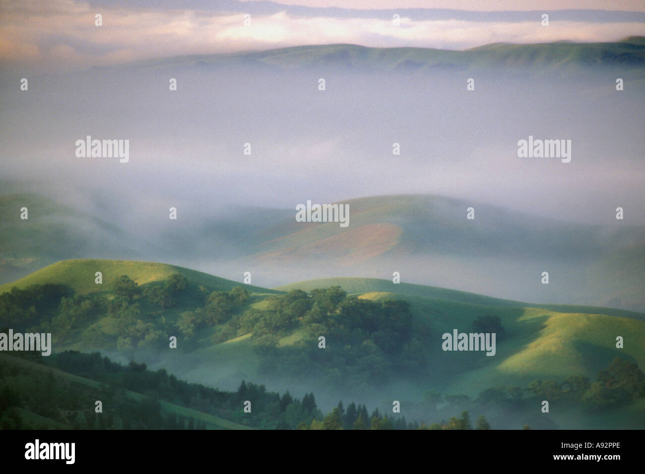 Mount Diablo State Park California USA Stock Photo - Alamy