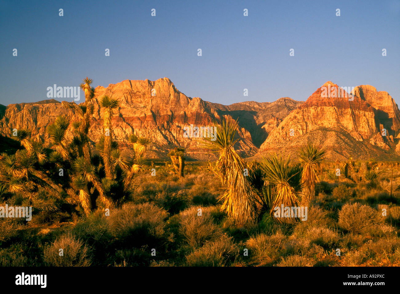 High rock canyon wilderness hi-res stock photography and images - Alamy