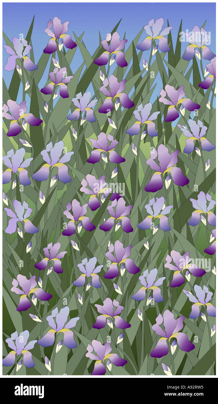 Linda flora hi-res stock photography and images - Alamy