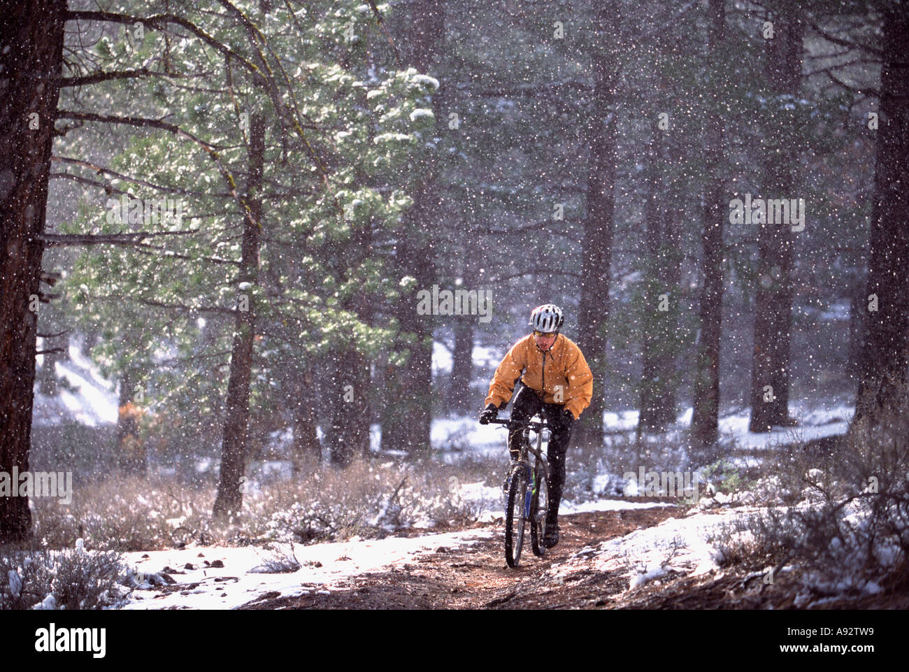 Truckee snowing hi-res stock photography and images - Alamy