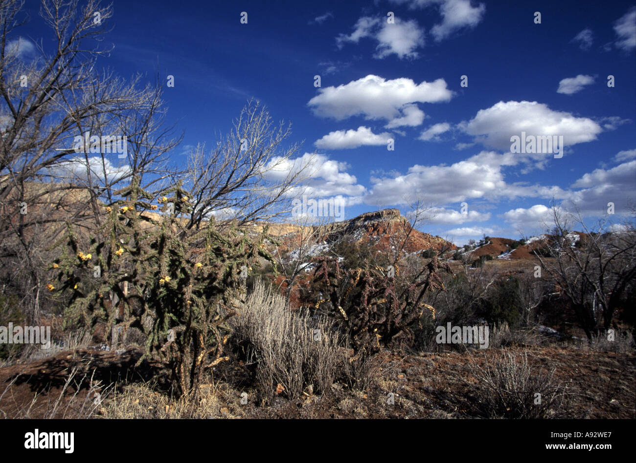 Ghost Ranch New Mexico Stock Photo - Alamy