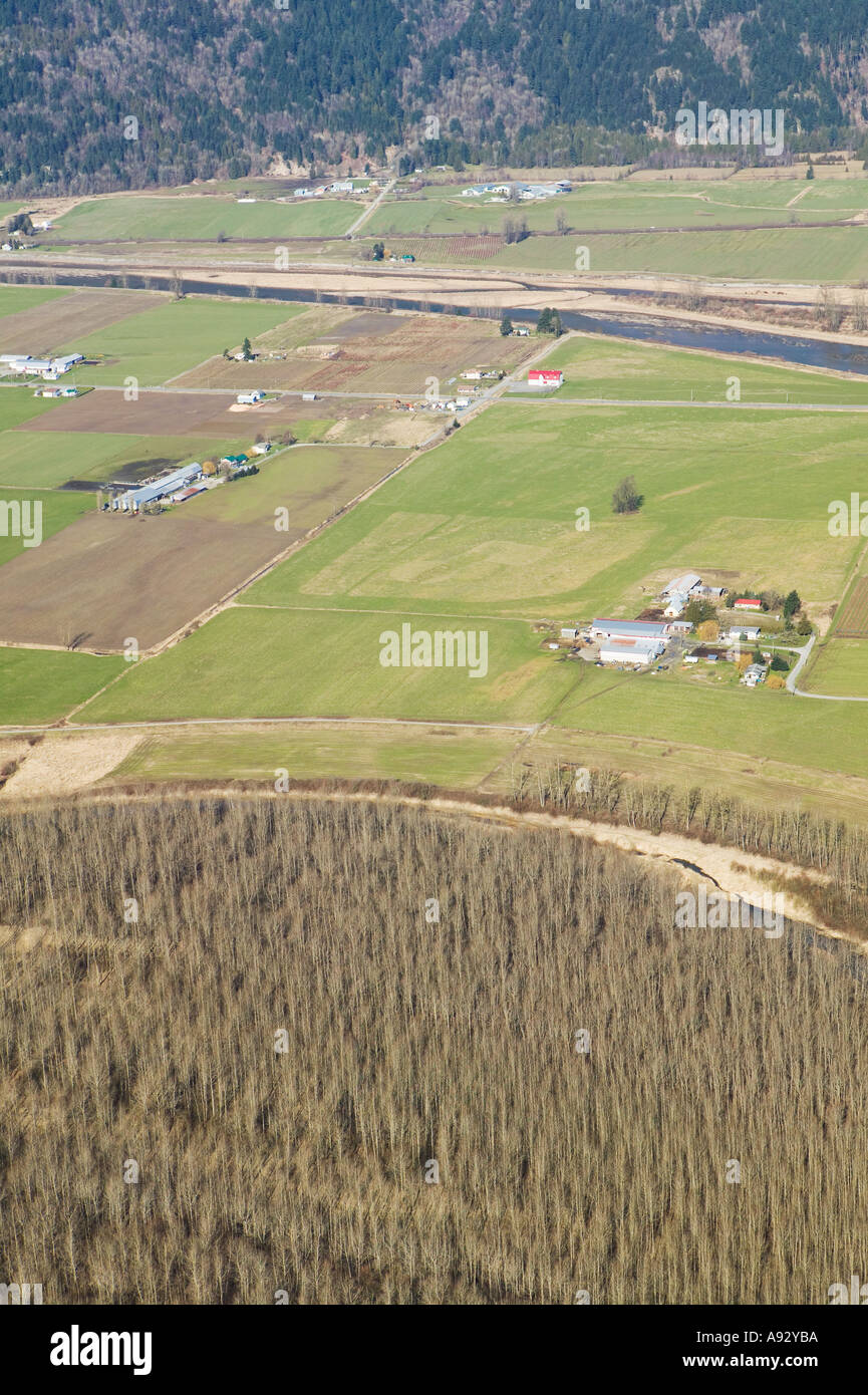 Aerial view of farming area Fraser Valley in winter British Columbia ...