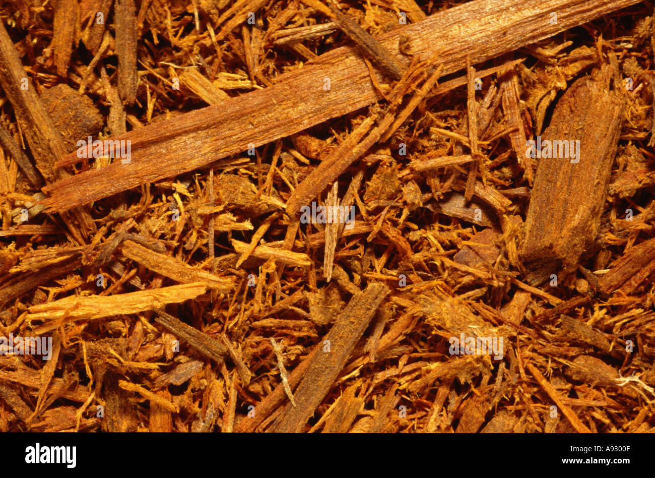 Rotholz hi-res stock photography and images - Alamy