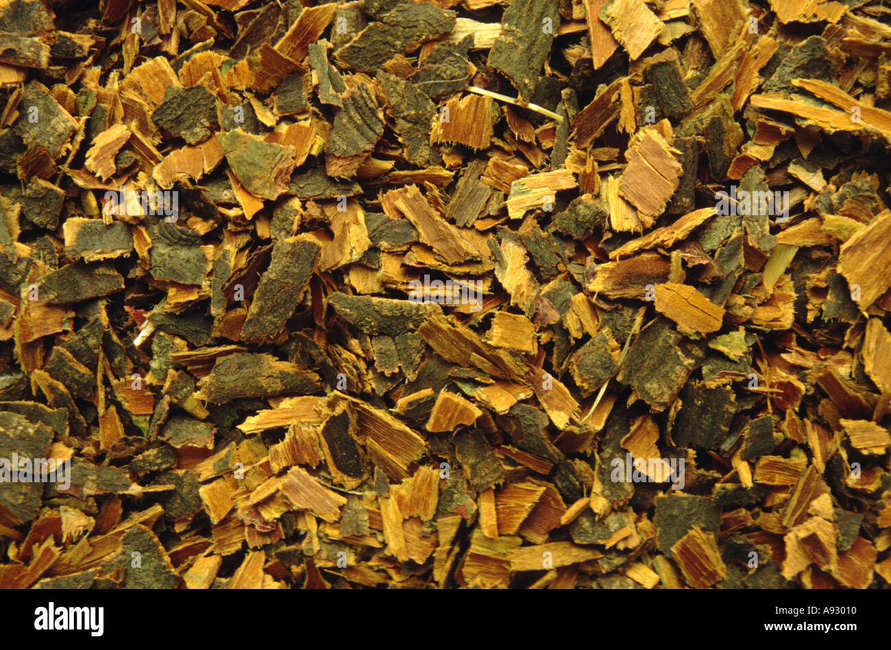 Faulbaum hi-res stock photography and images - Alamy