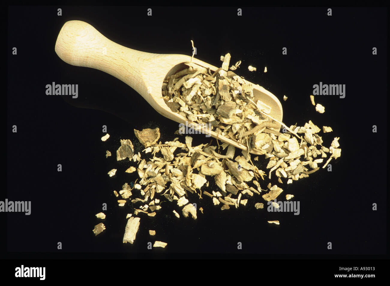 Medicinal plant dried root of Kava Kava Kawa Kawa Piper methysticum ...