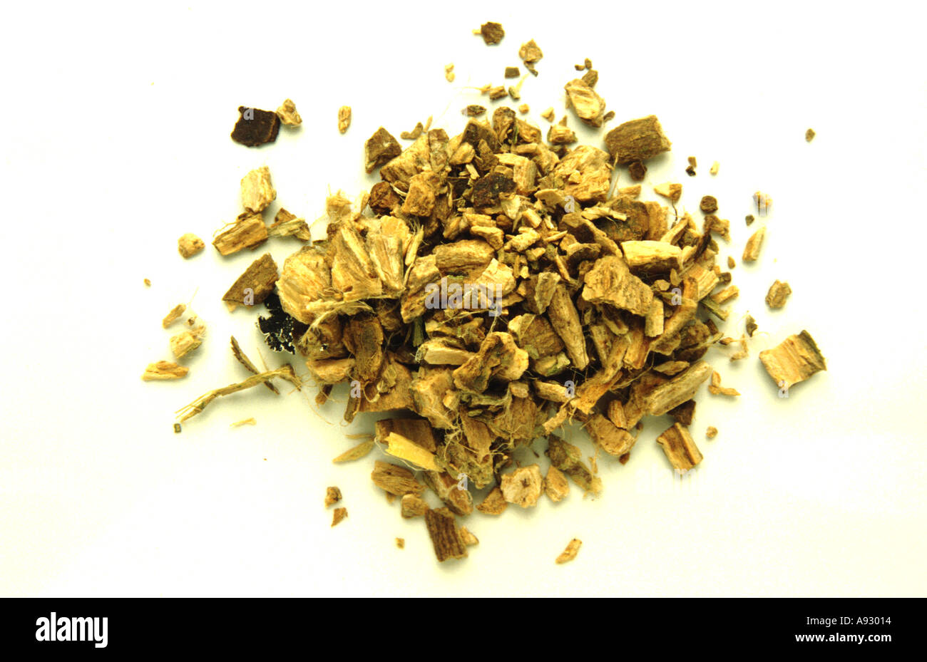 Medicinal plant dried root of Kava Kava Kawa Kawa Piper methysticum ...