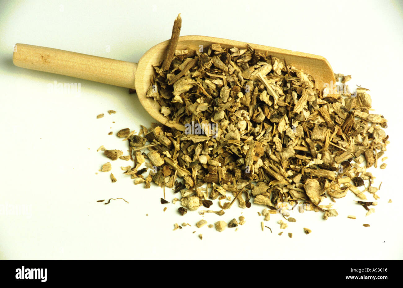 Medicinal plant dried root of Kava Kava Kawa Kawa Piper methysticum ...