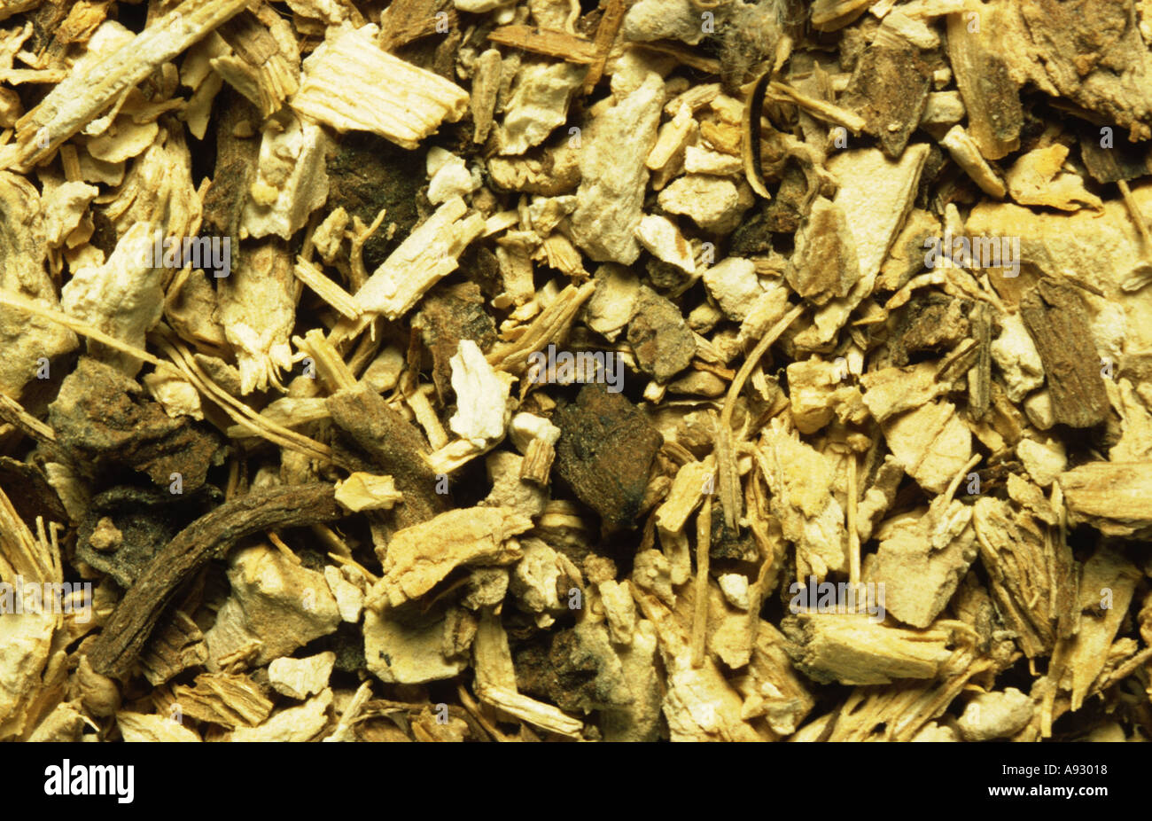 Medicinal plant dried root of Kava Kava Kawa Kawa Piper methysticum ...