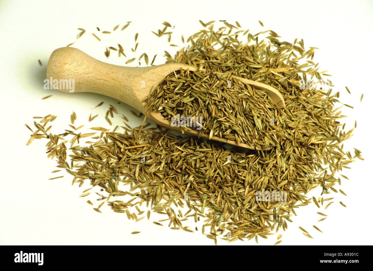 Mixture of seeds flowers grasses sieved from hay and used for medicinal ...