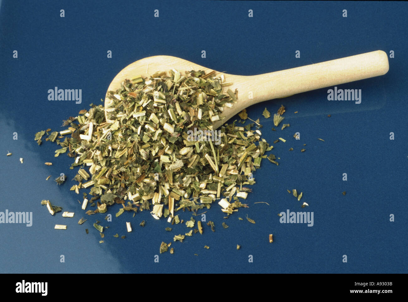 Medicinal plant dried herb of Betony Stachys officinalis Betonie Stock ...