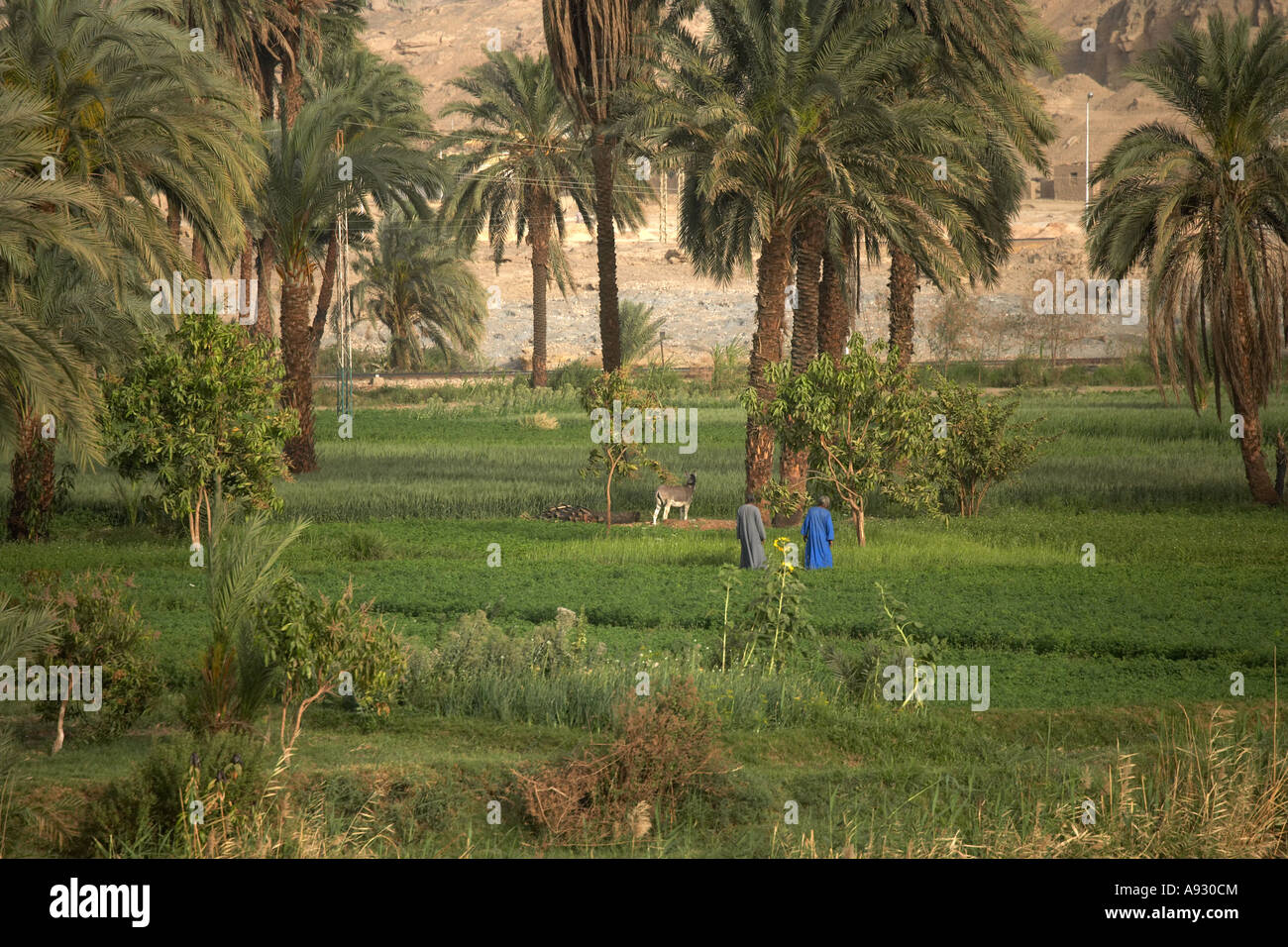 Nile River Valley Egypt Stock Photo - Alamy