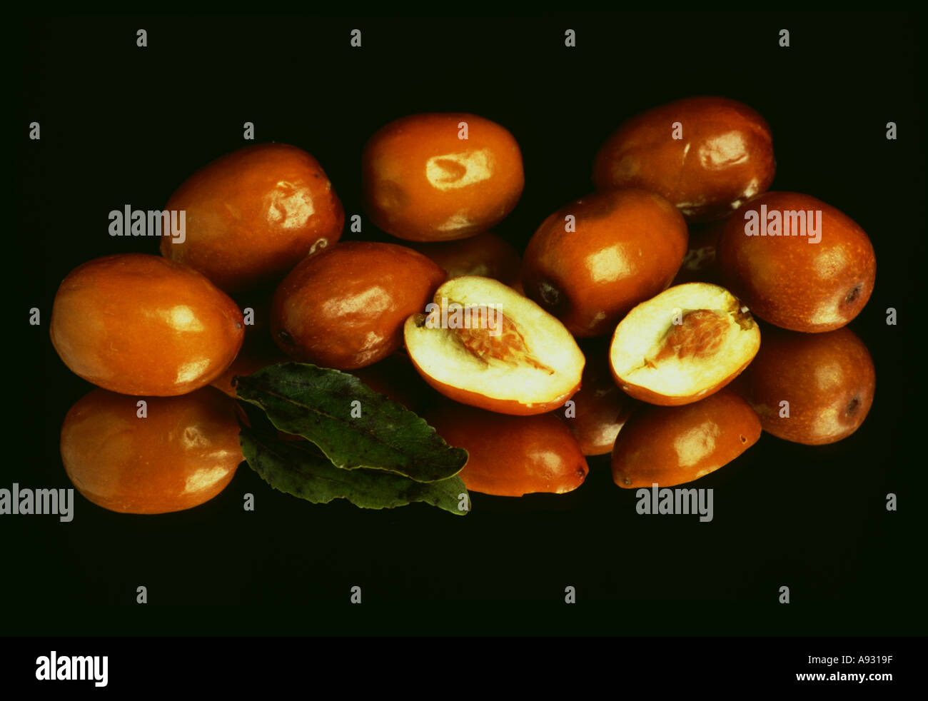 Zizyphus jujuba hi-res stock photography and images - Alamy