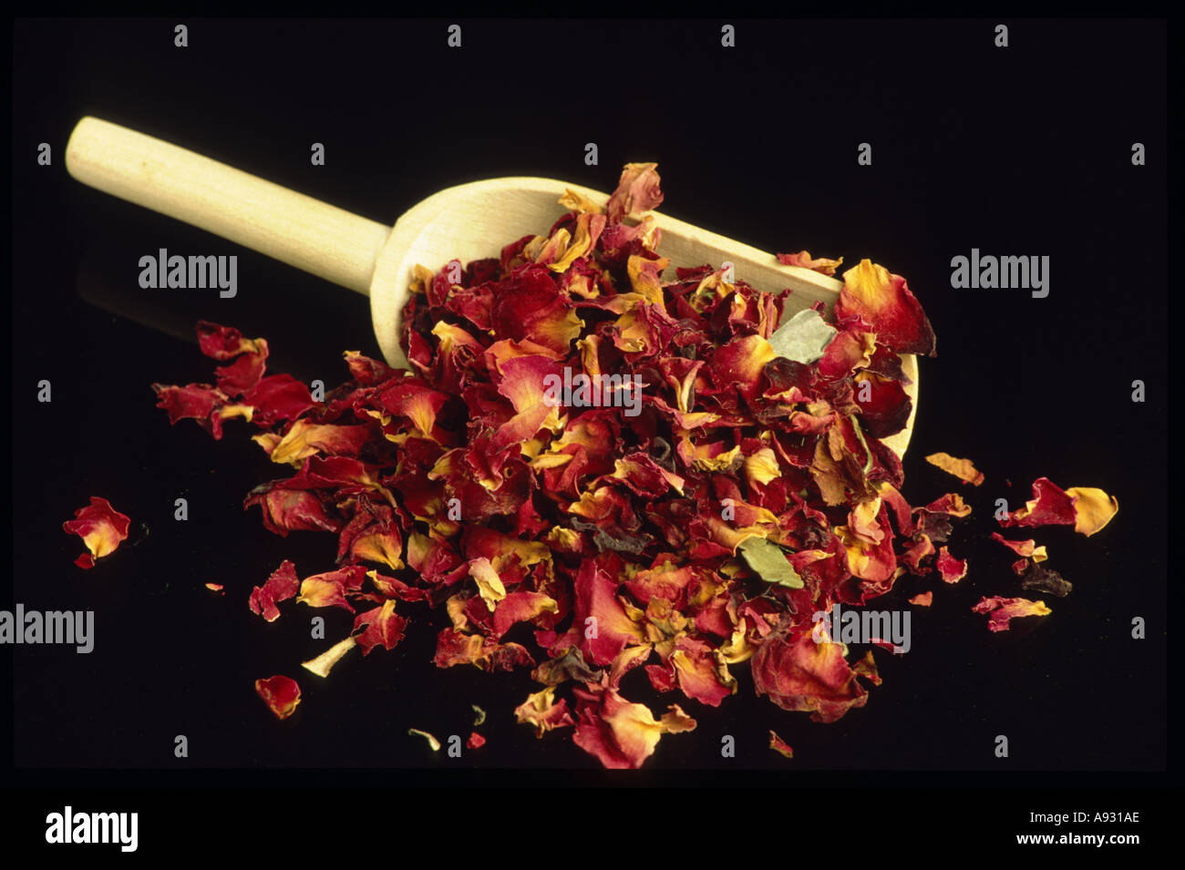 Rosae rosae f hi-res stock photography and images - Alamy