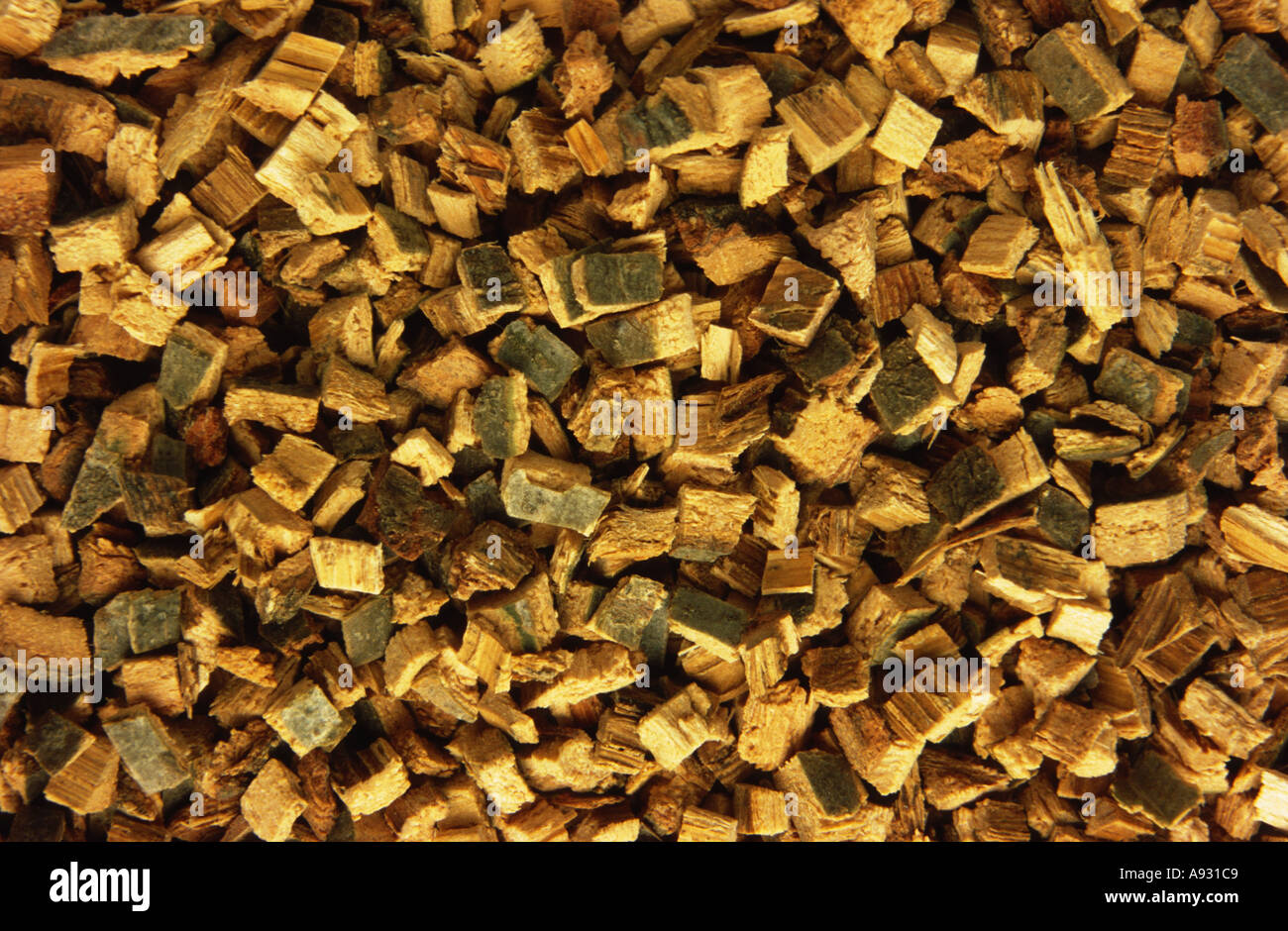 Medicinal plant bork bark of the oak tree cortex quercus Eichenrinde ...