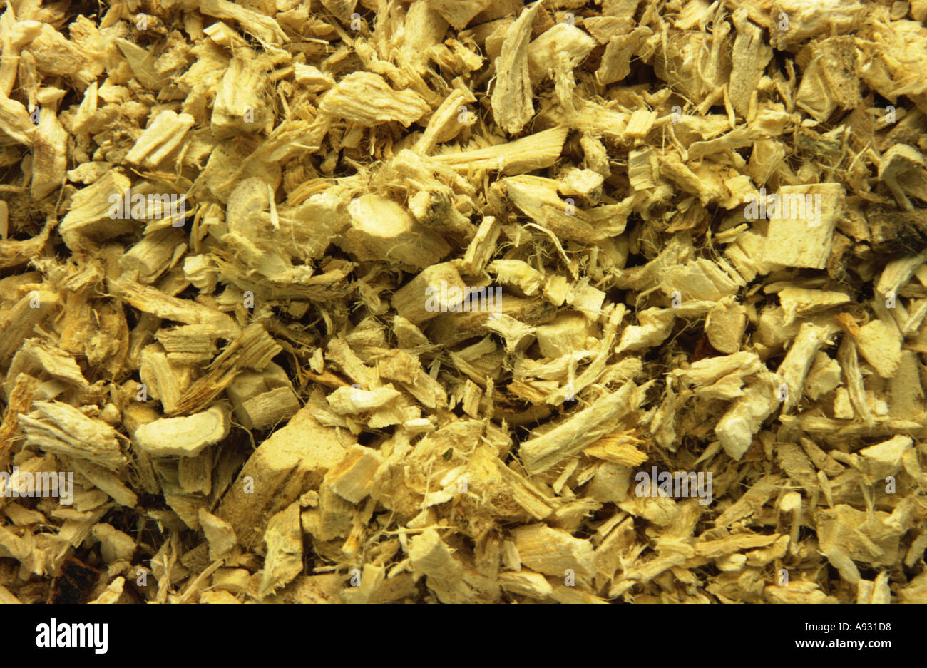 Medicinal plant dried root of the Althea officinalis Marshmallow ...