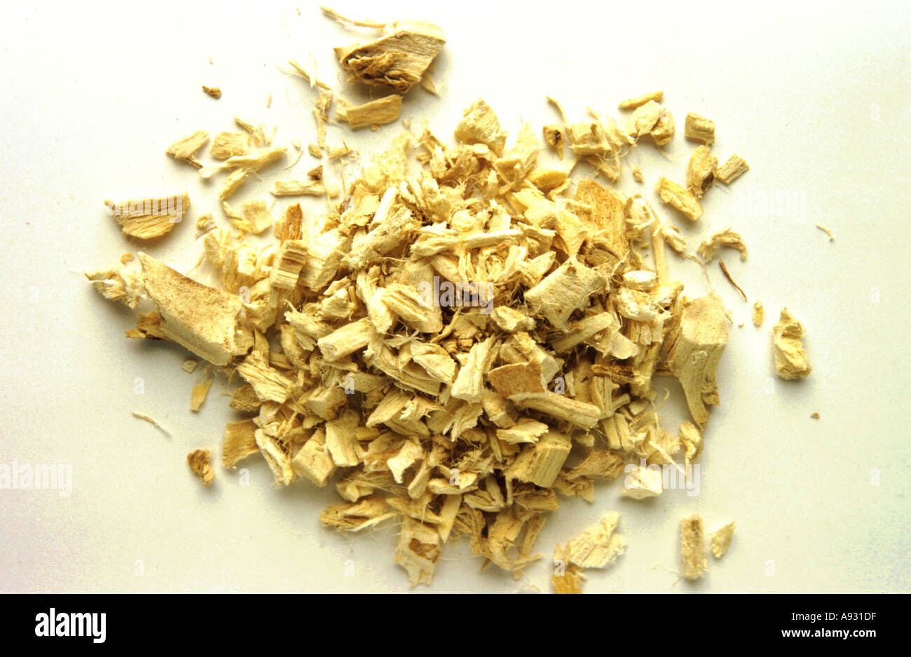 Medicinal plant dried root of the Althea officinalis Marshmallow ...