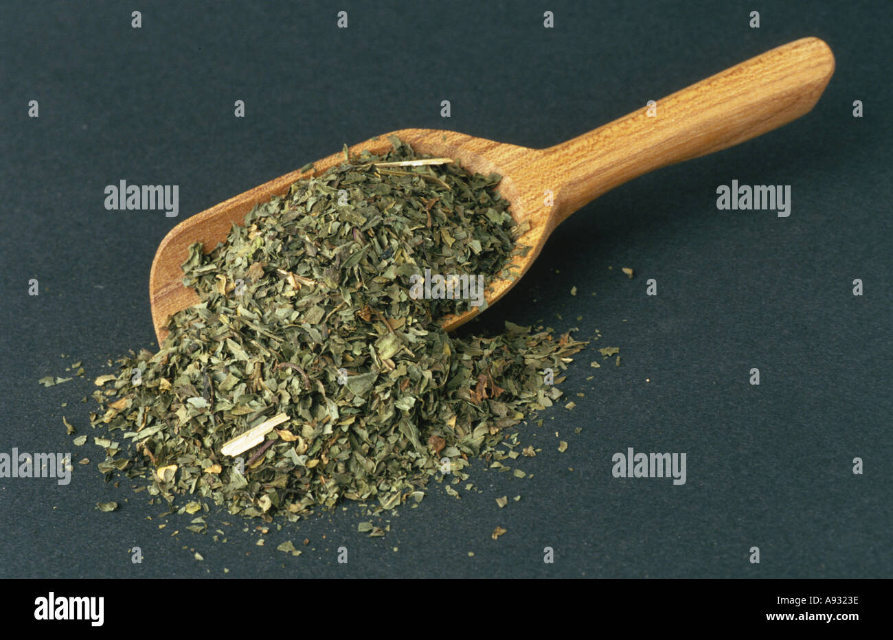 Medicinal plant tea Yerbabuena mexican tea Stock Photo - Alamy