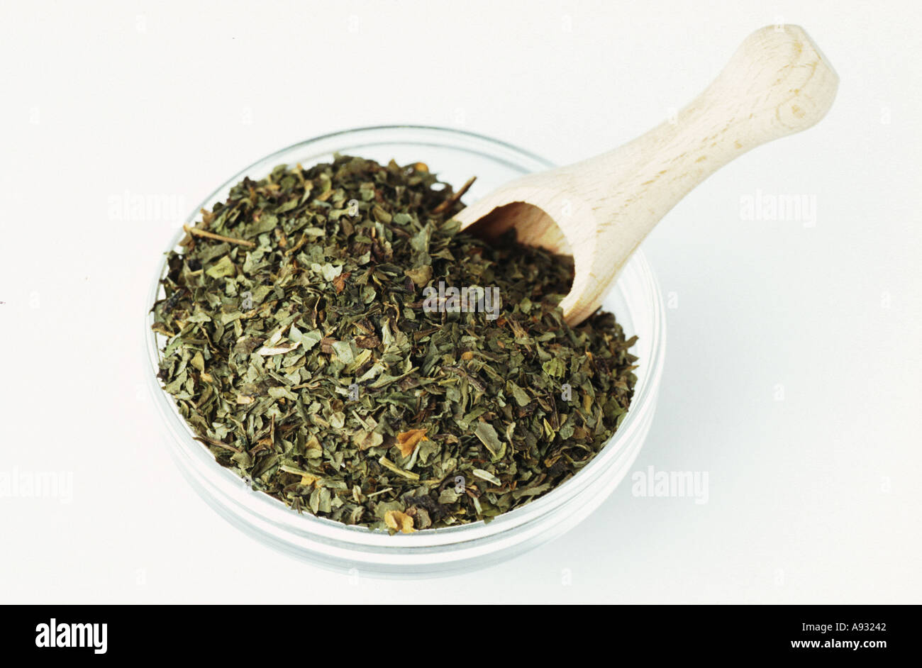 Medicinal plant tea Yerbabuena mexican tea Stock Photo - Alamy
