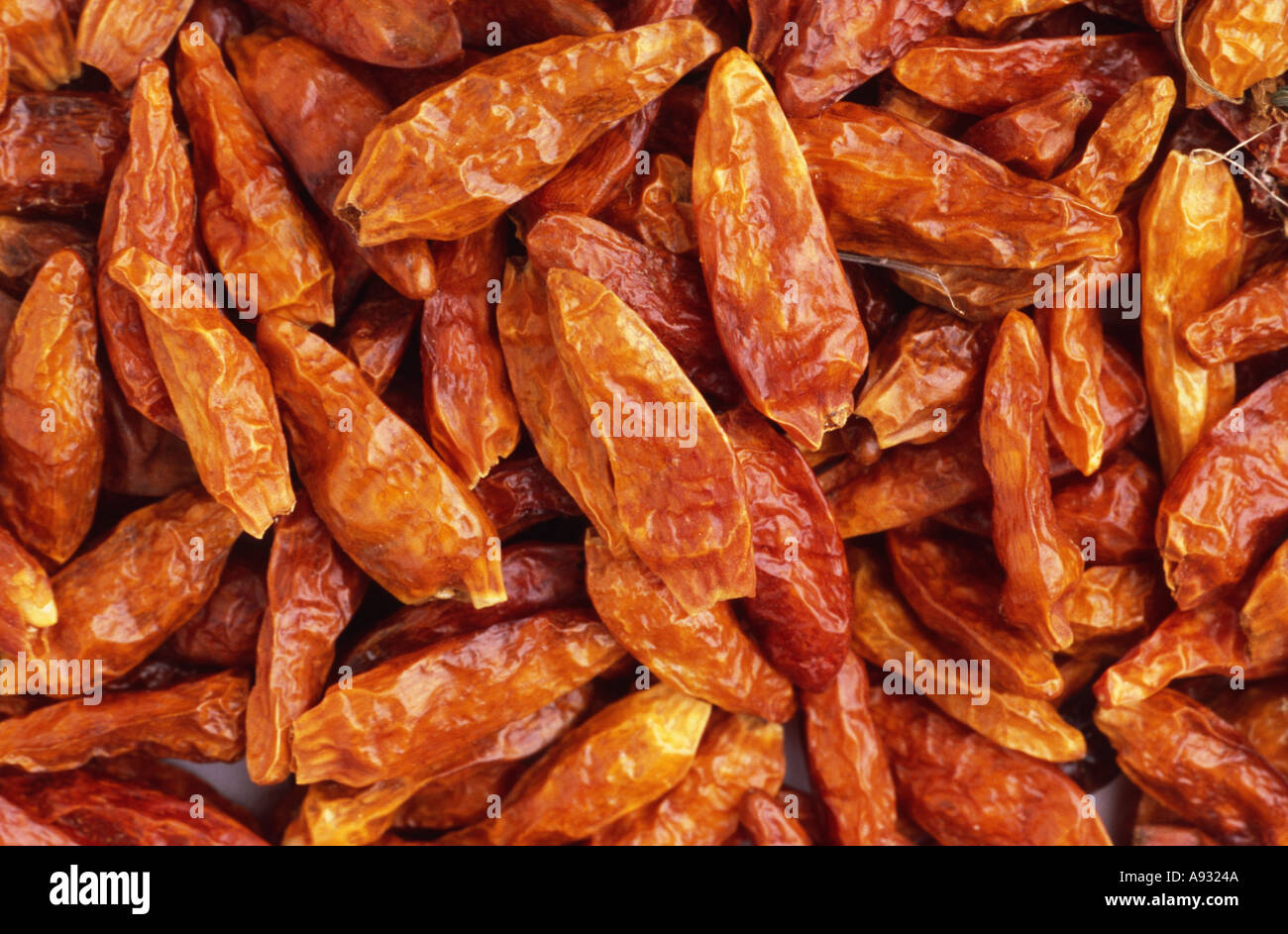 Spice Food Chilly Chilli dry fruits of the Piquin one of the hottest ...