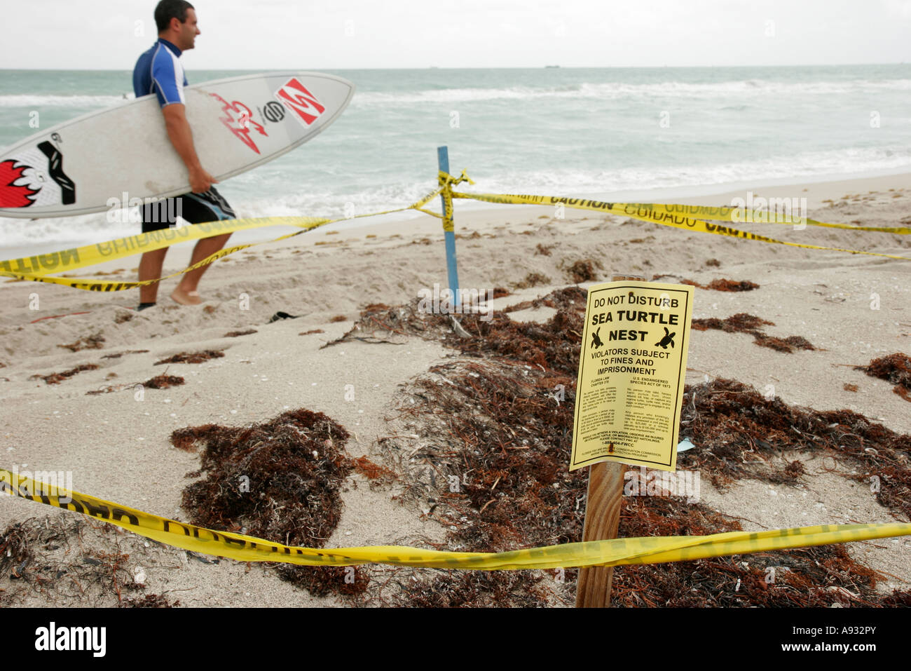 Miami Beach Florida,Atlantic Ocean,water,shore,sign,sea turtle nest,do ...