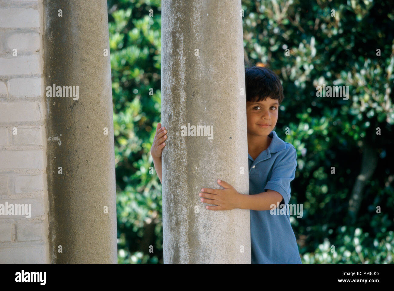 Tree behind a wall hi-res stock photography and images - Alamy